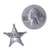Sheriff Star Lapel Pin - CC556- Sheriff, Law Enforcement, County ...