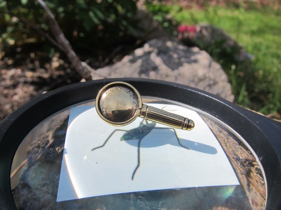 Mystery Magnifying Glass