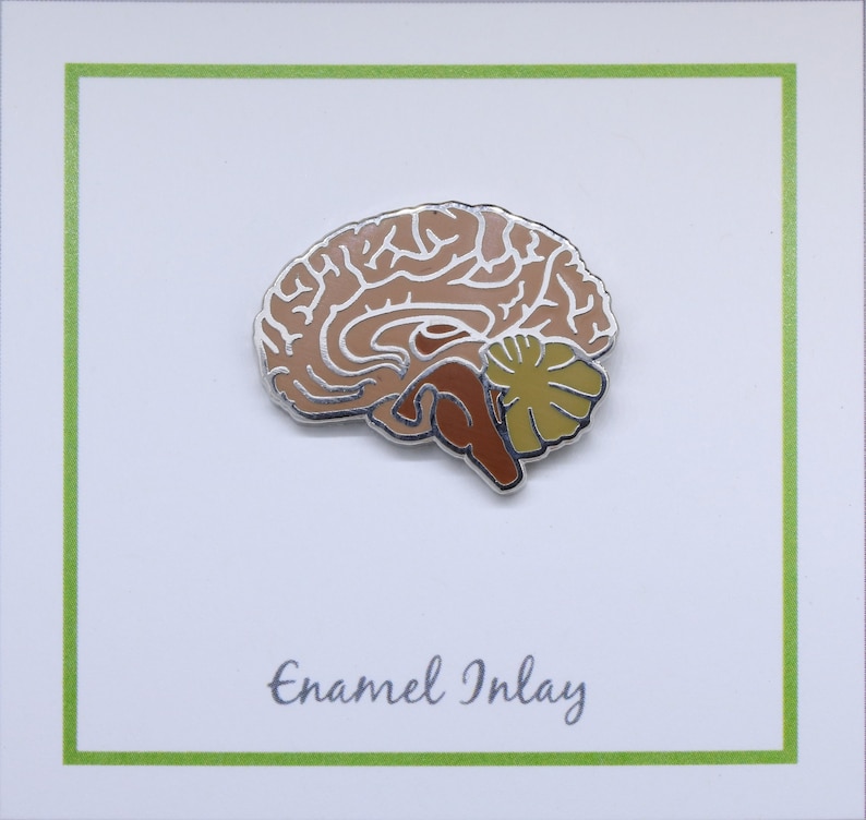 Brain Enamel Lapel Pin- EP107- Brain, Stroke, Medical and Anatomy ...