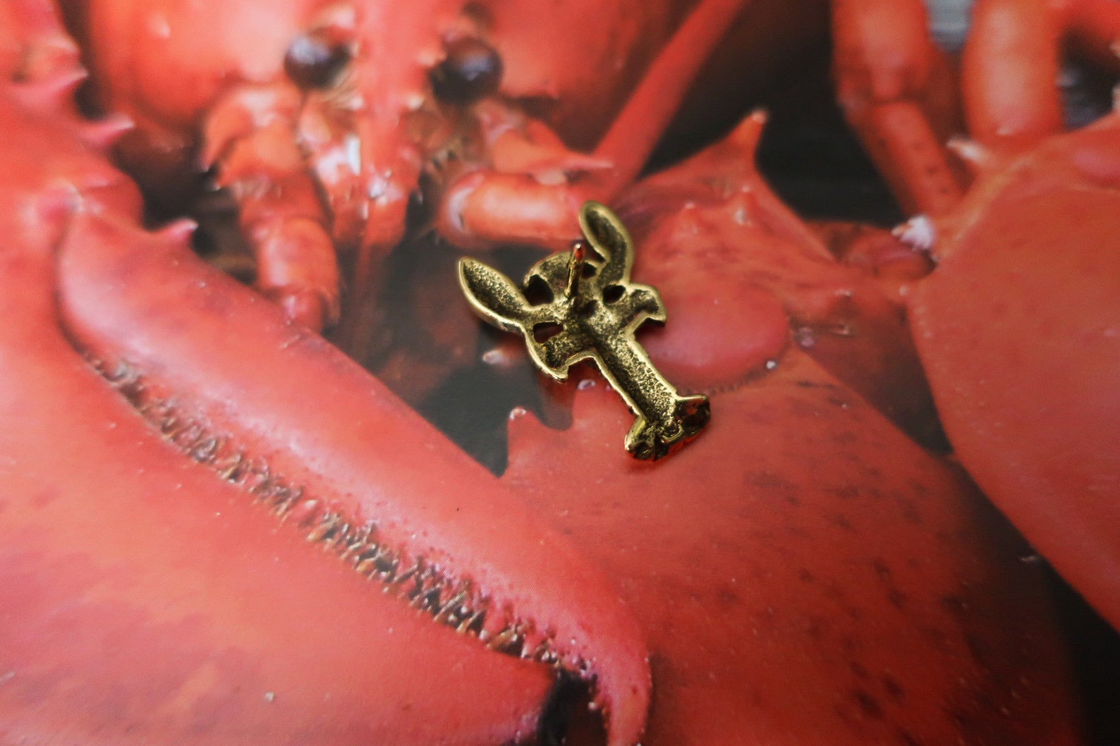 Lobster Gold Dipped Pewter Lapel Pin- CC112G- Marine Crustaceans ...