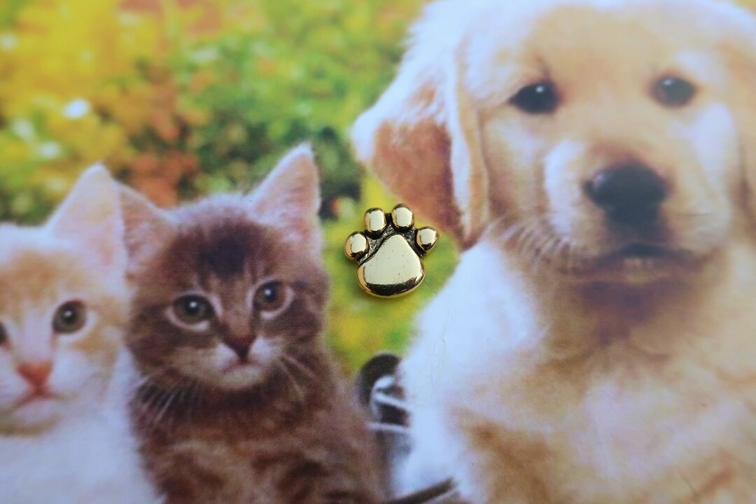 Paw Print Gold Lapel Pin - CC269G- Pins for Pet Lovers- Dog Paw Pin ...