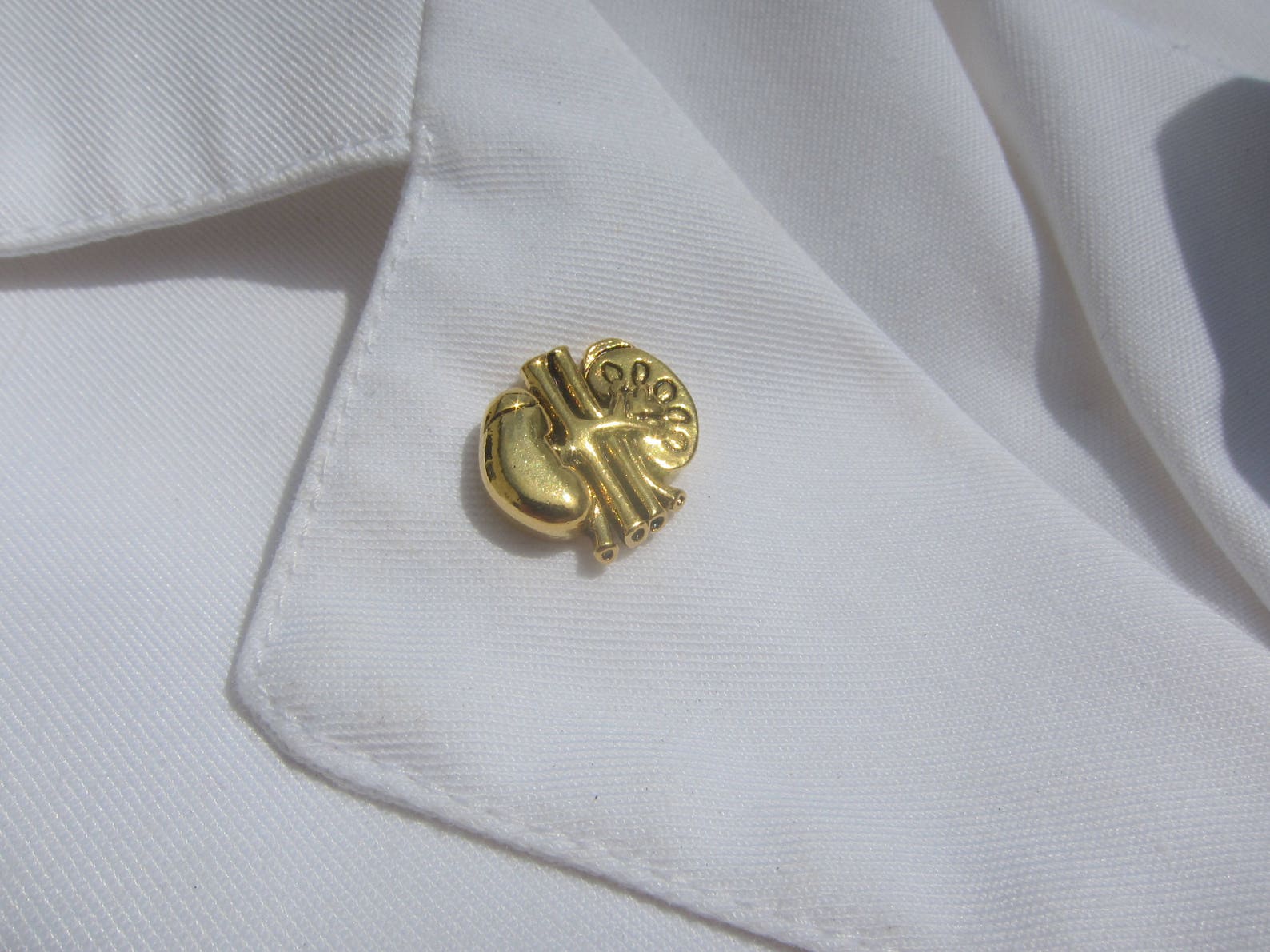Gold Kidney Lapel Pin CC391G Medical Pins for Nephrology | Etsy