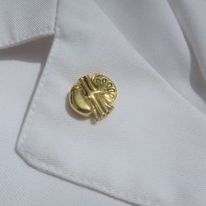 Gold Kidney Lapel Pin- CC391G- Medical Pins for Nephrology Nurses ...