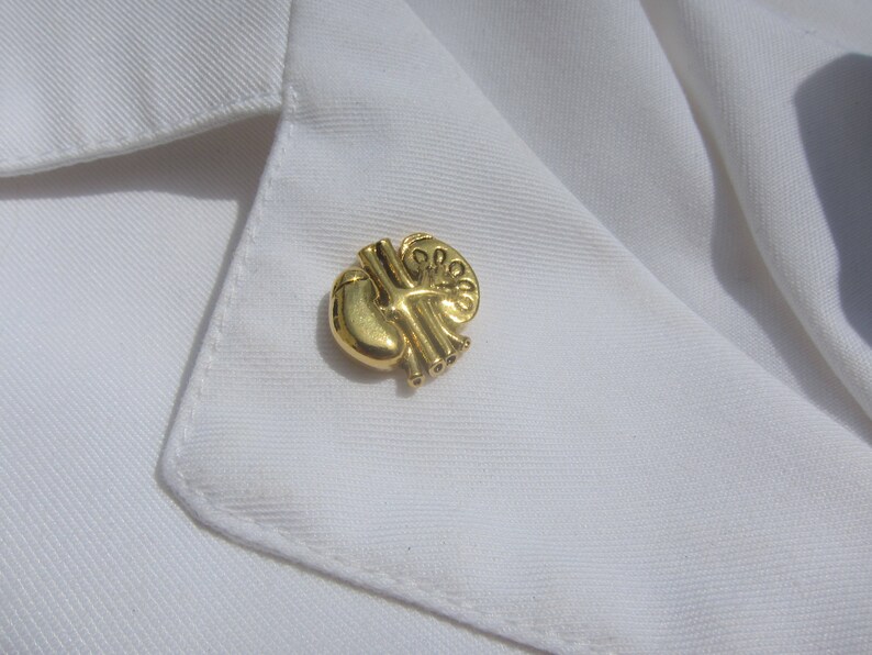 Gold Kidney Lapel Pin CC391G Medical Pins for Nephrology | Etsy