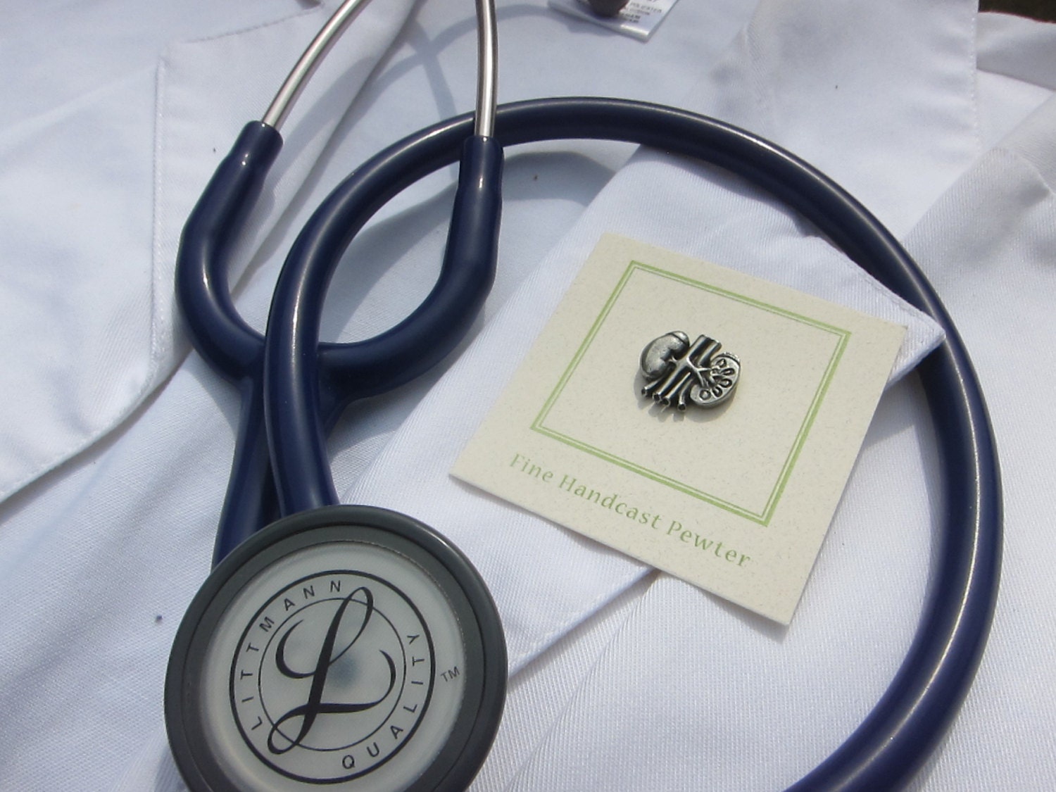 Kidneys Lapel Pin CC391 Medical Pins for Doctors and - Etsy
