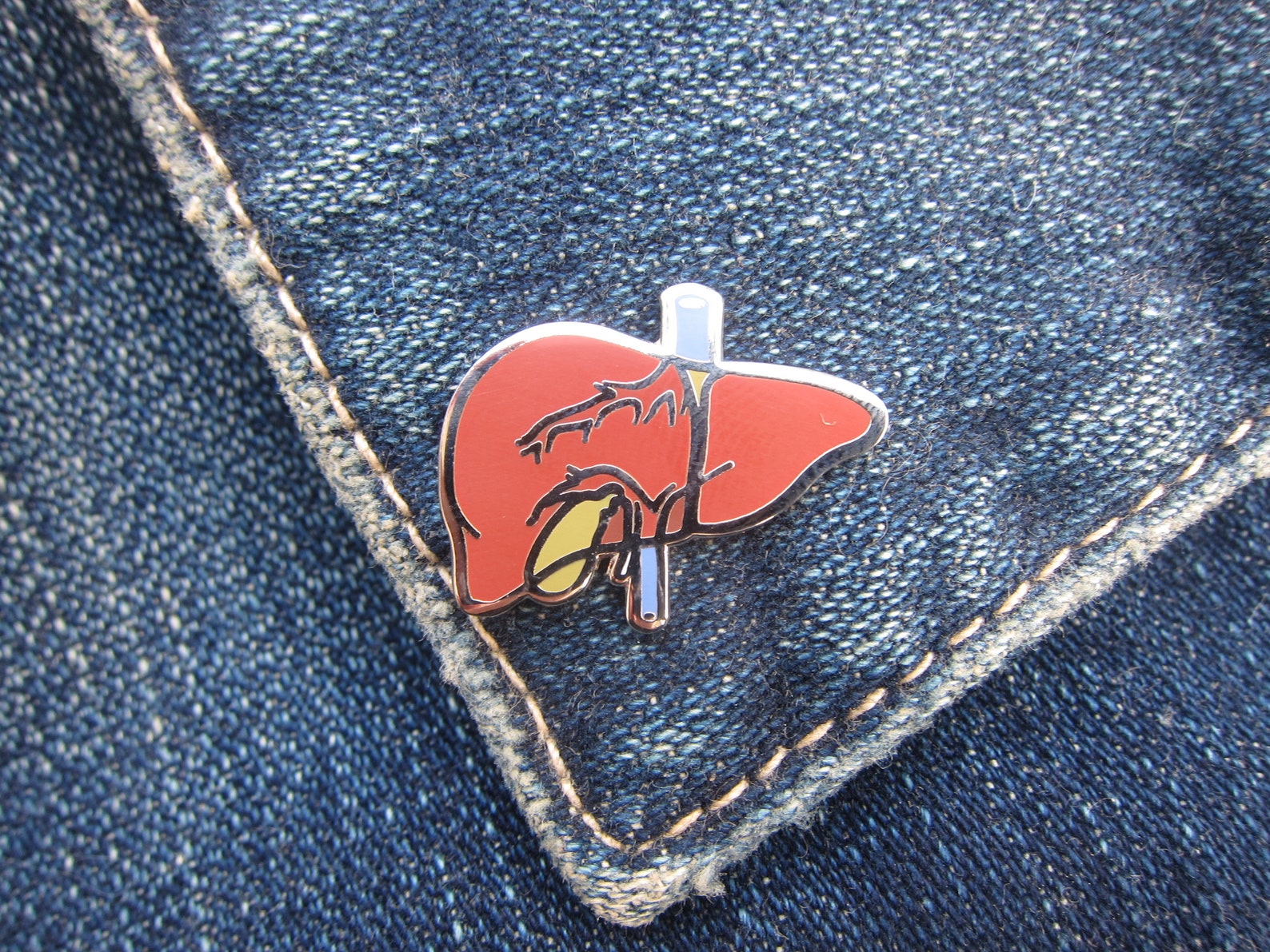 Liver Enamel Lapel Pin EP111 Liver Digestive System Organs - Etsy