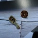 Gold Microphone Lapel Pin-cc529g Mic, Broadcast, and Sound Wave Pins ...
