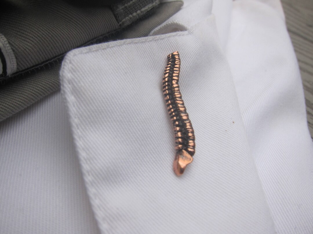 Copper Spine Lapel Pin- CC518C- Chiropractor Gifts, Anatomy and Medical ...
