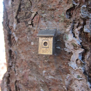 Nest Box Lapel Pin - CC235- Nest Box, Birdhouse, Bird, and Bird Lover ...