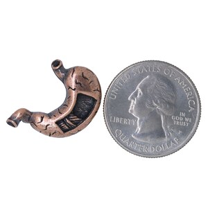 Copper Stomach Lapel Pin- CC619C- Medical and Anatomy Pins- Digestion ...