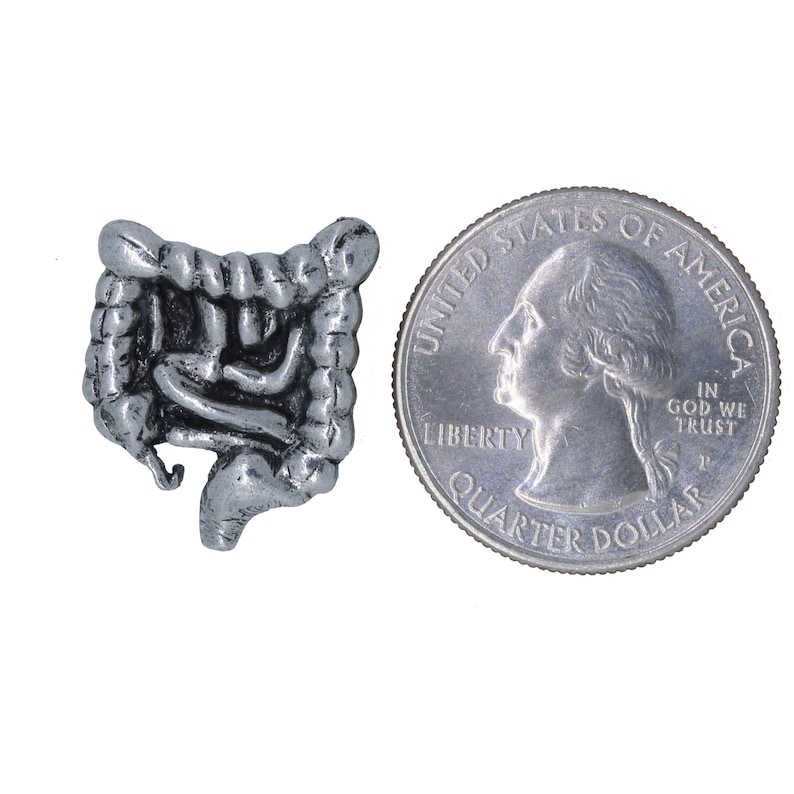 Intestines Lapel Pin - CC346- Gastrointestinal Pins- Anatomy Pins Great ...