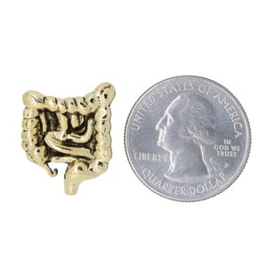 Gold Intestine Lapel Pin- CC346G- Gastrointestinal Pins, Anatomy Pins ...