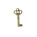 Gold Skeleton Key Lapel Pin- CC417G- Skeleton Key, Passkey, Master Key ...