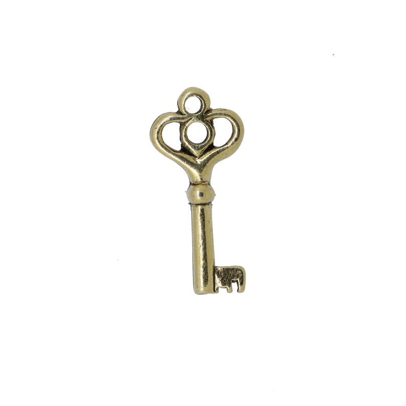 Gold Skeleton Key Lapel Pin CC417G Skeleton Key Passkey - Etsy