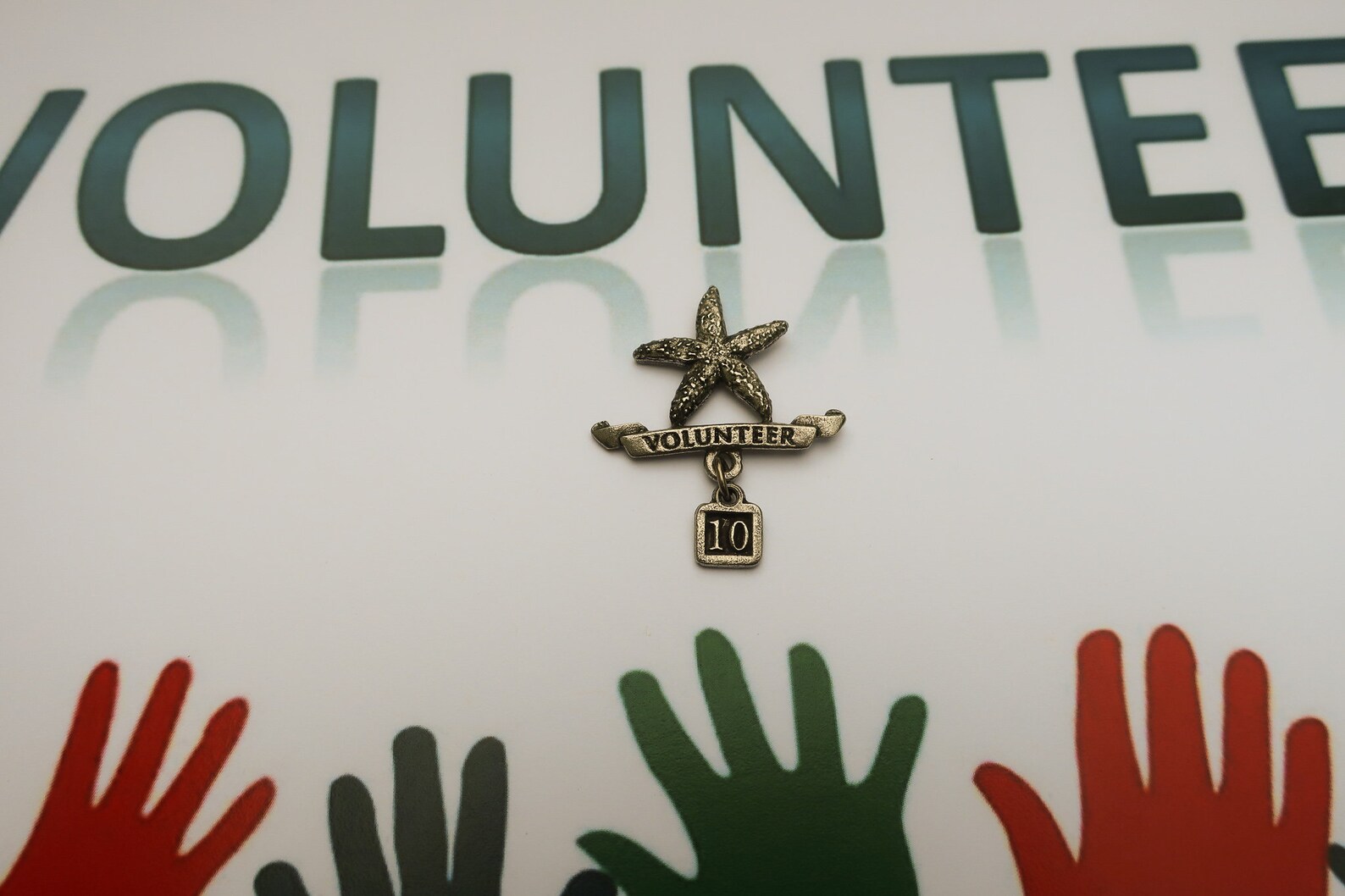 Volunteer Starfish Lapel Pin CC548 | Etsy