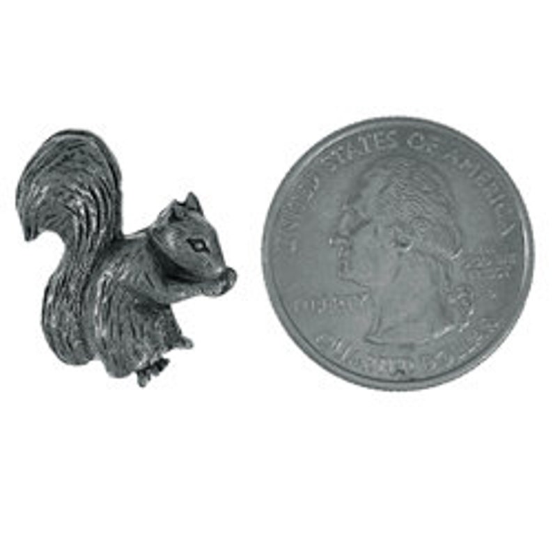 Squirrel Lapel Pin CC499 Woodland Animals and Bushy Tailed | Etsy