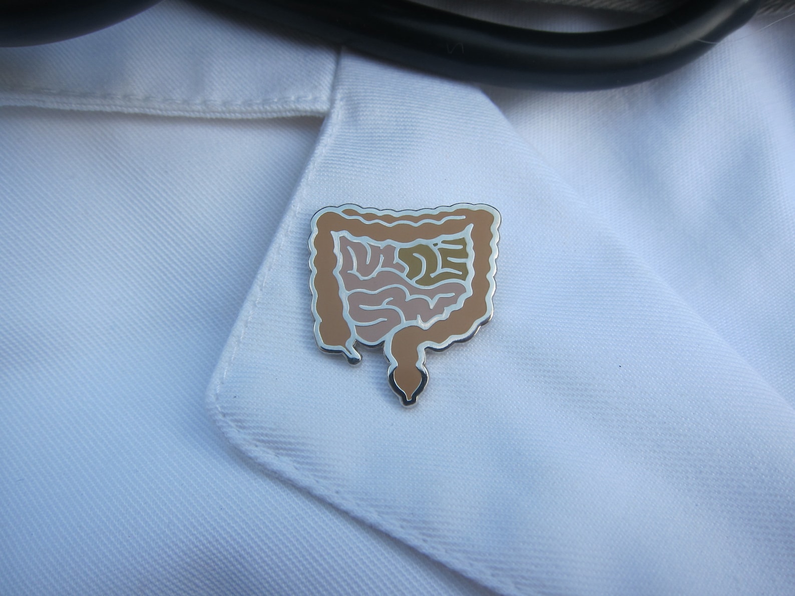 Intestines Enamel Lapel Pin- EP110- Digestion, Gastrointestinal System ...