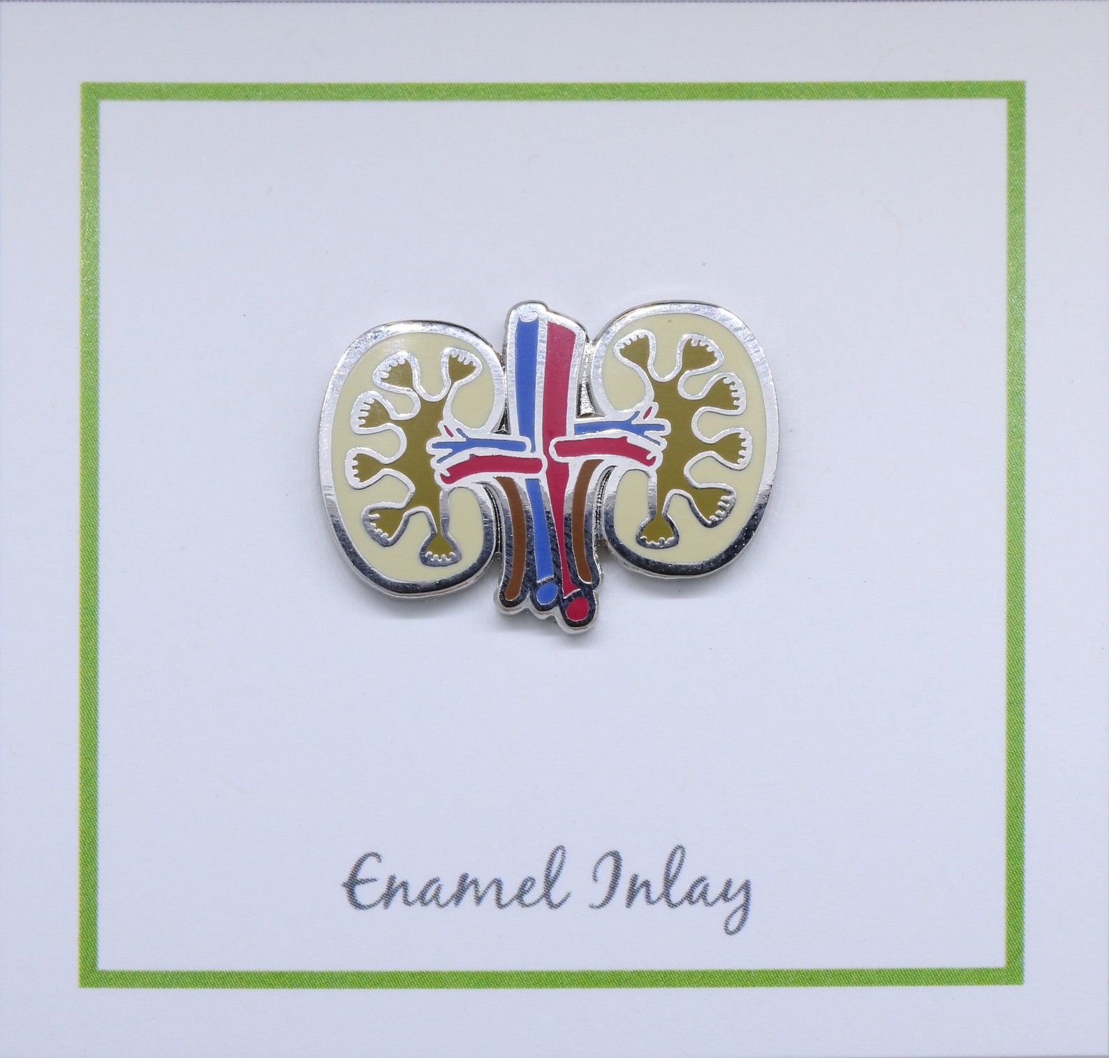 Kidney Enamel Lapel Pin EP109 Kidneys Urinary Tract Renal - Etsy