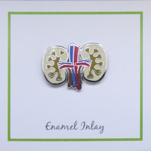 Kidney Enamel Lapel Pin- EP109- Kidneys, Urinary Tract, Renal Failure ...