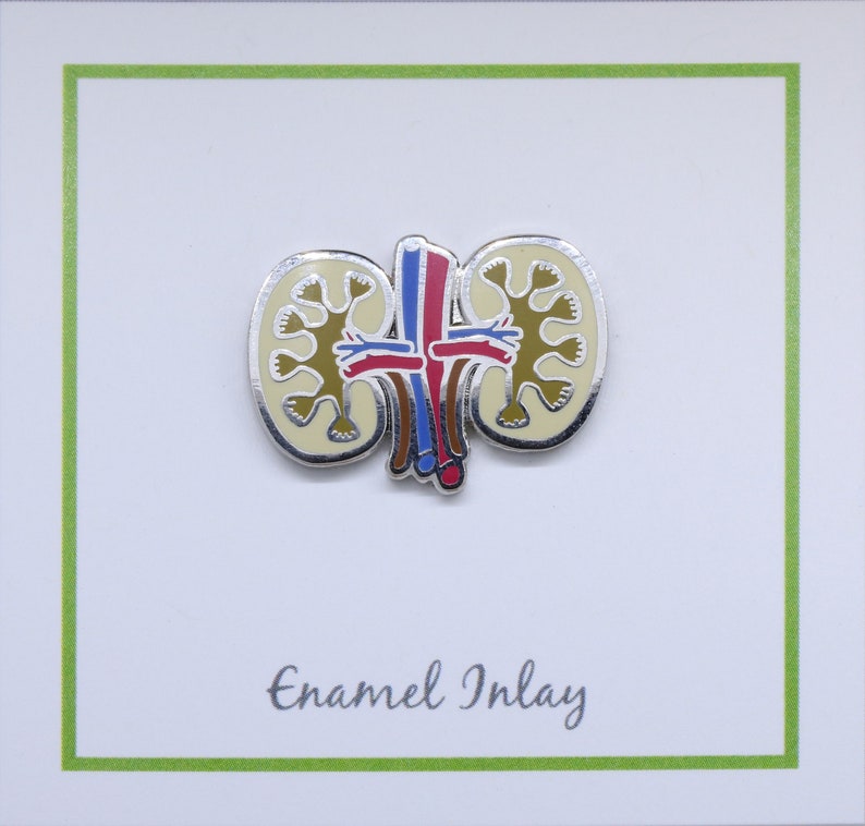 Kidney Enamel Lapel Pin EP109 Kidneys Urinary Tract Renal - Etsy