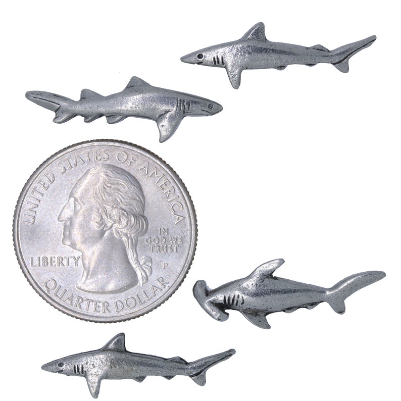 Shark Pushpins Home Office Shark Week Marine Biology | Etsy