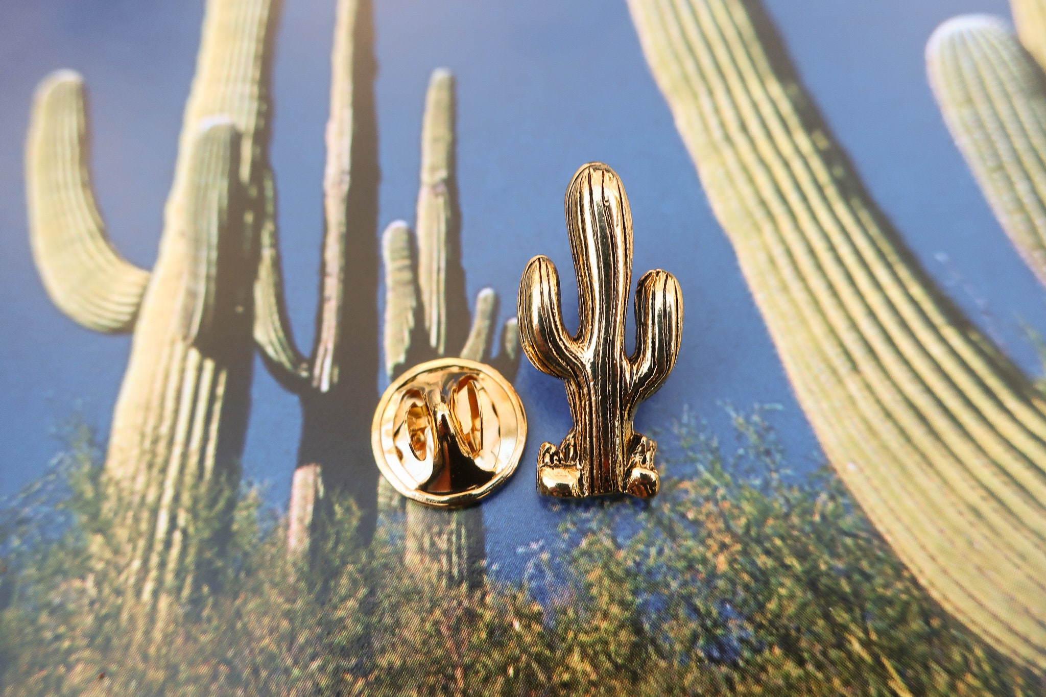 Gold Cactus Lapel Pin-CC488G Arizona Desert and Cactus Pins | Etsy