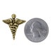 Gold Caduceus Lapel Pin- CC599G- Pharmacy, Medicine, Hospital, and ...