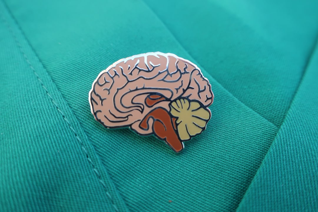 Brain Enamel Lapel Pin- EP107- Brain, Stroke, Medical and Anatomy ...