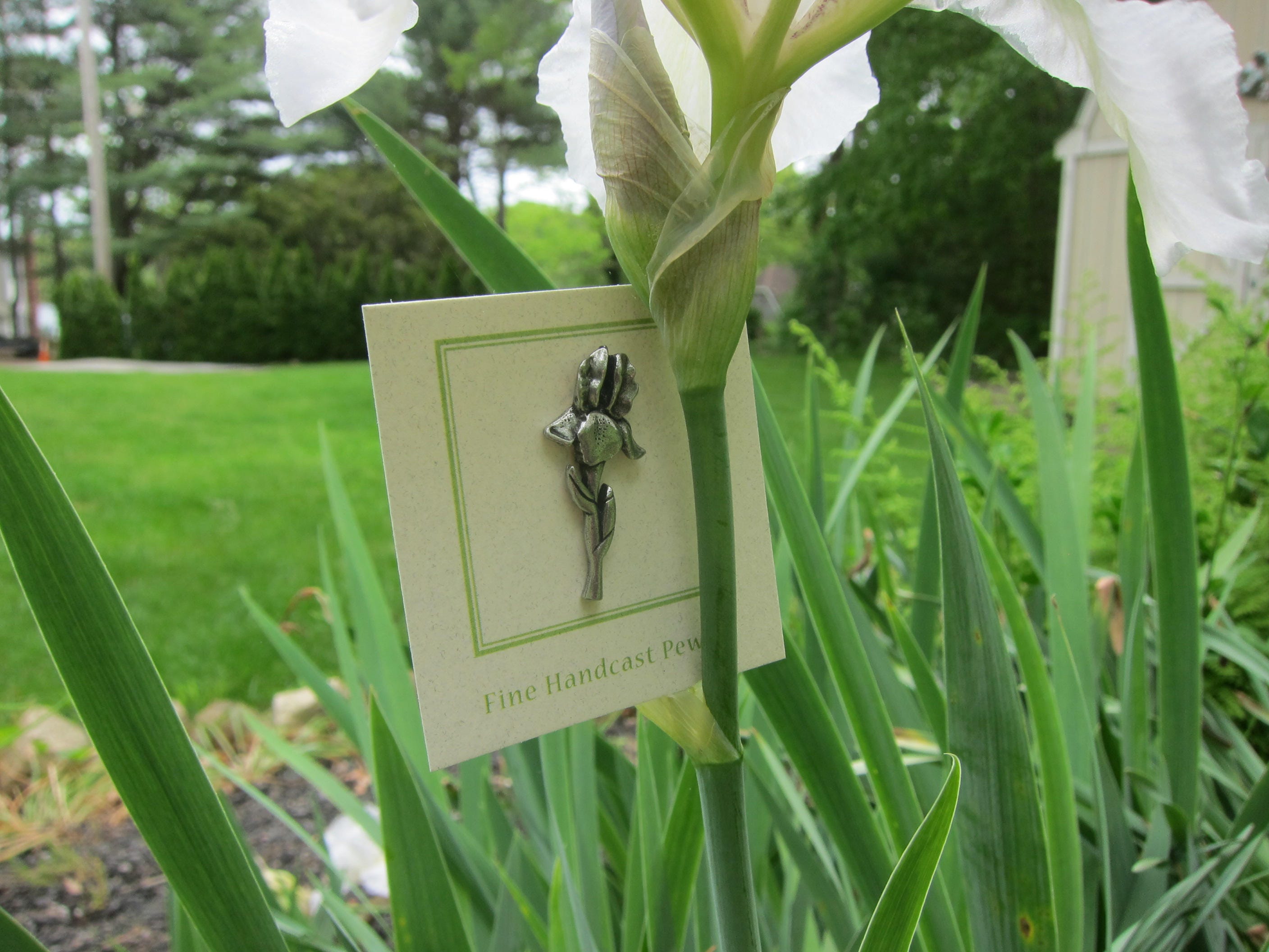 Iris Lapel Pin CC621 Spring Flowers for Gardeners and Green | Etsy