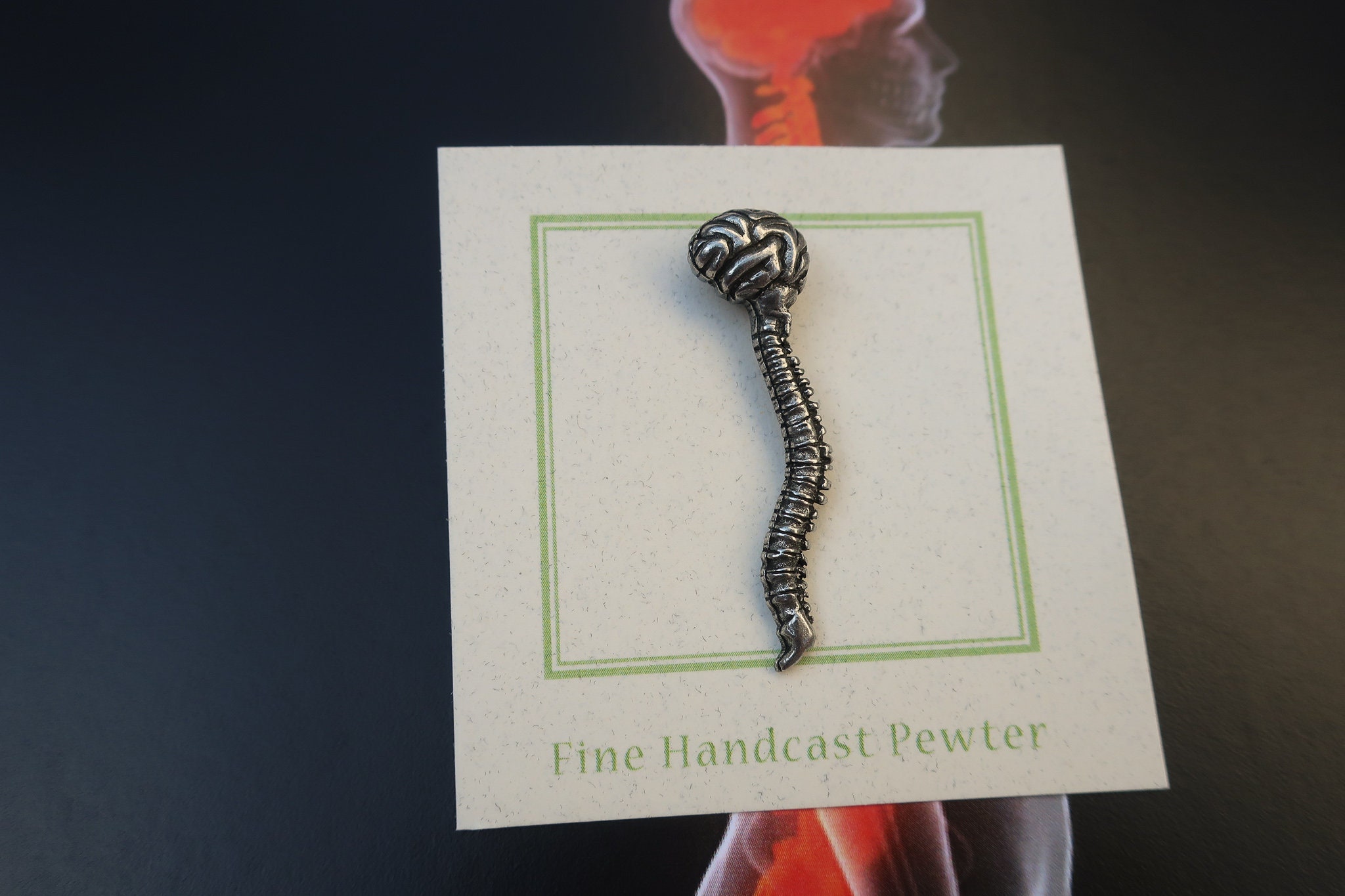 Brain and Spine Pewter Lapel Pin-cc651-brain Spine - Etsy