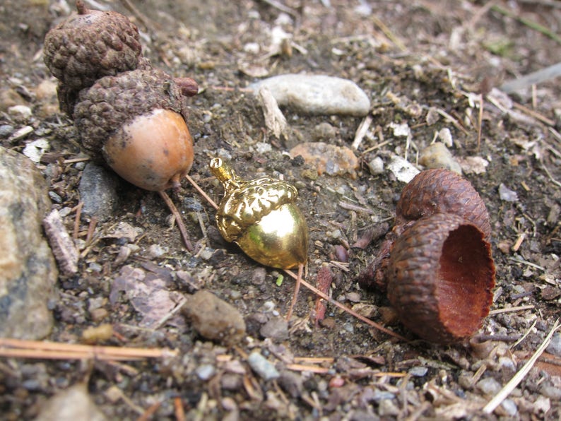 Gold Acorn Lapel Pin-cc292g Nature Woods Hiking Acorn and | Etsy