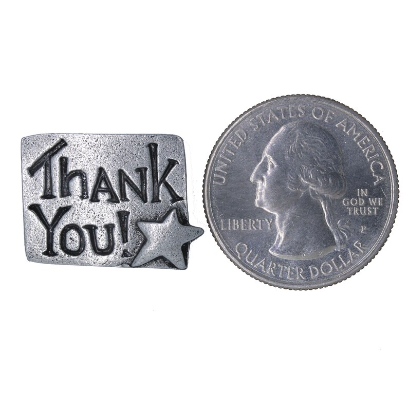 Thank You Lapel Pin CC555 Thank You Grateful Appreciation - Etsy Canada
