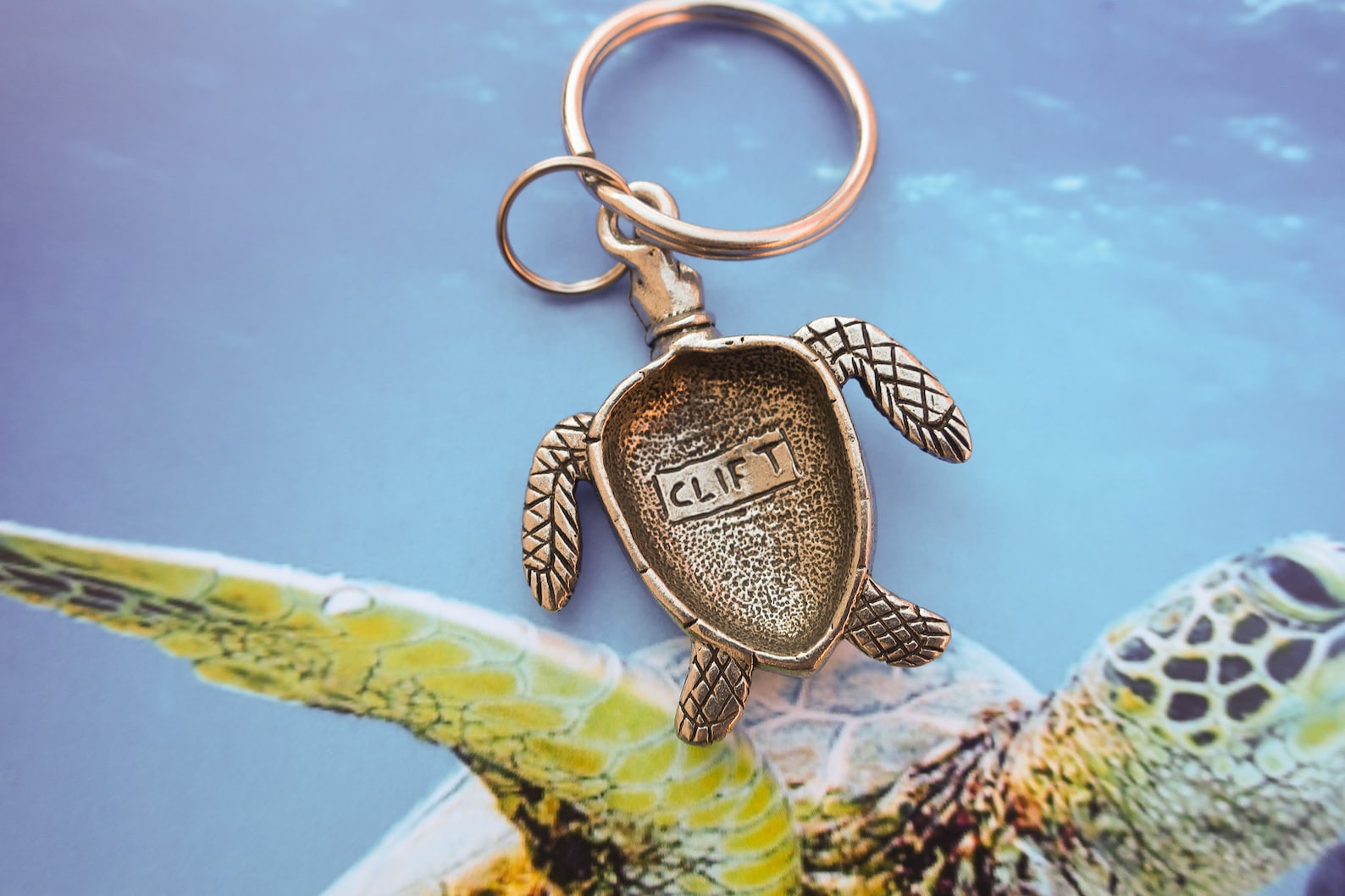 Sea Turtle Keychain K161 Aquarium Marine Ocean Beach and - Etsy