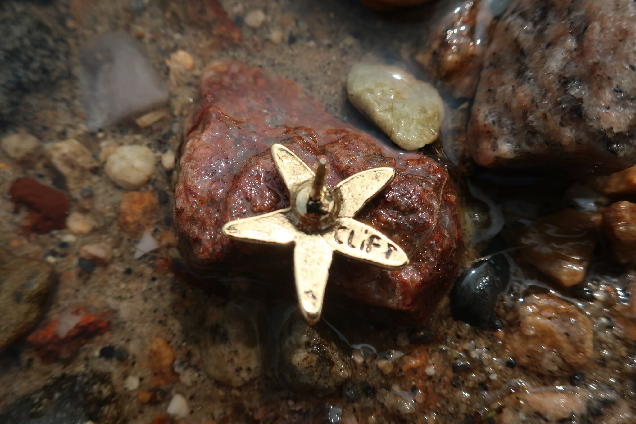 Gold Starfish Lapel Pin CC415G Starfish Ocean Beach Sea | Etsy