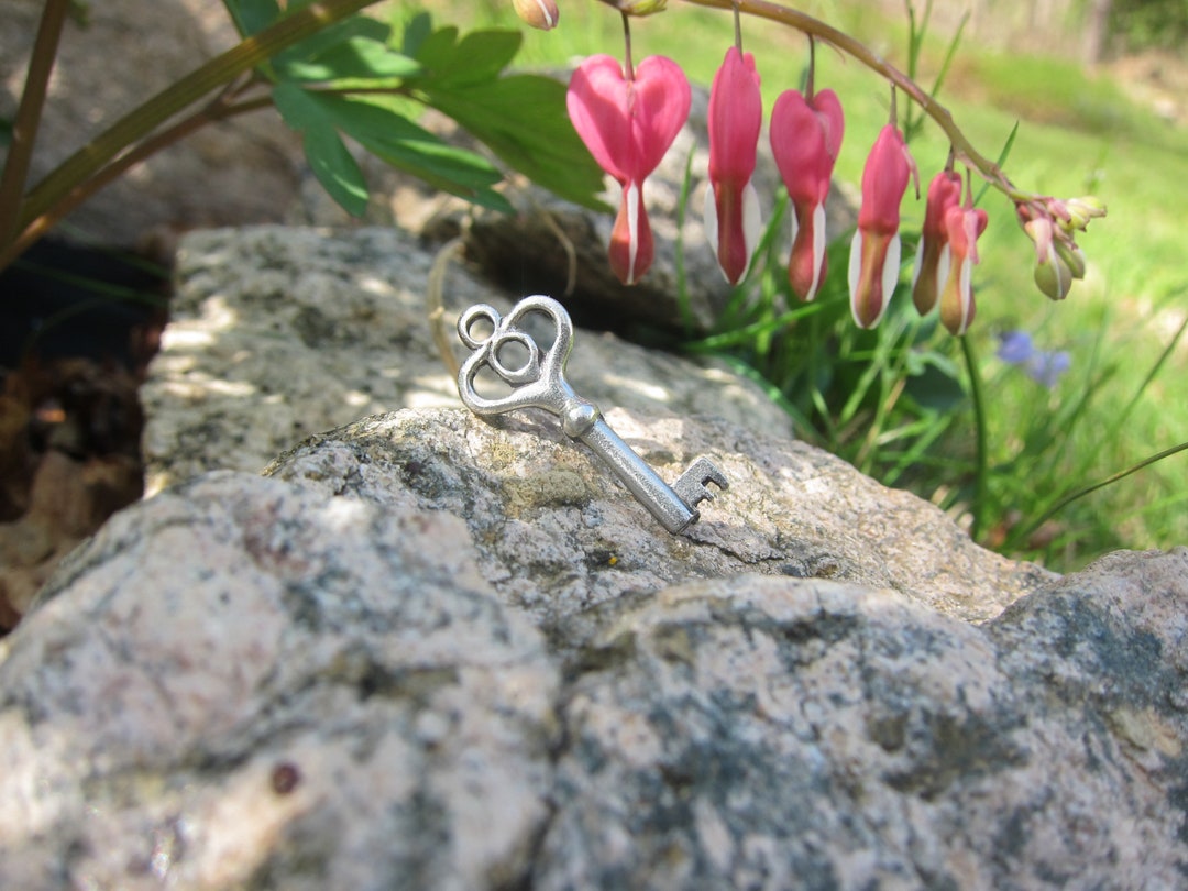 Skeleton Key Lapel Pin - CC417- Key, Skeleton Key, Hotel, Hospitality ...