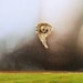 Tornado Gold Dipped Pewter Lapel Pin CC586G Tornado, Storm, Storm ...
