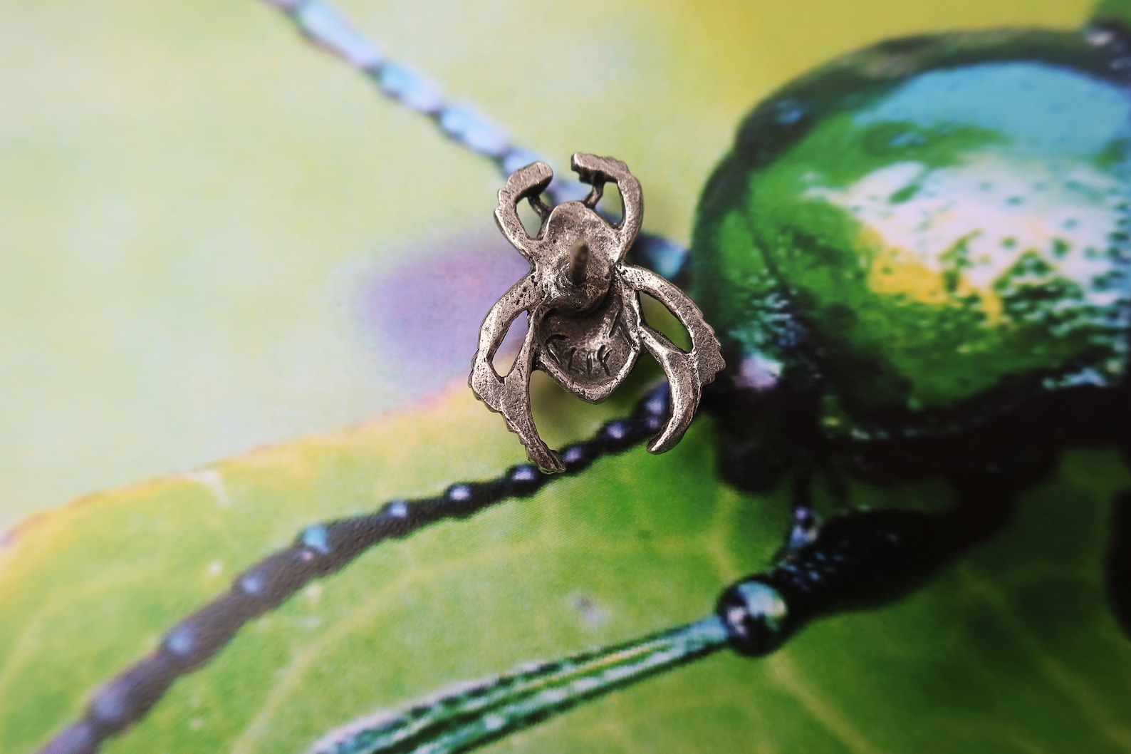 Beetle Lapel Pin CC280 Insect and Bug Pins - Etsy