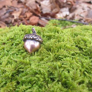 Copper Acorn Lapel Pin- CC292C- Nature, Woods, Hiking, Acorn and Oak ...