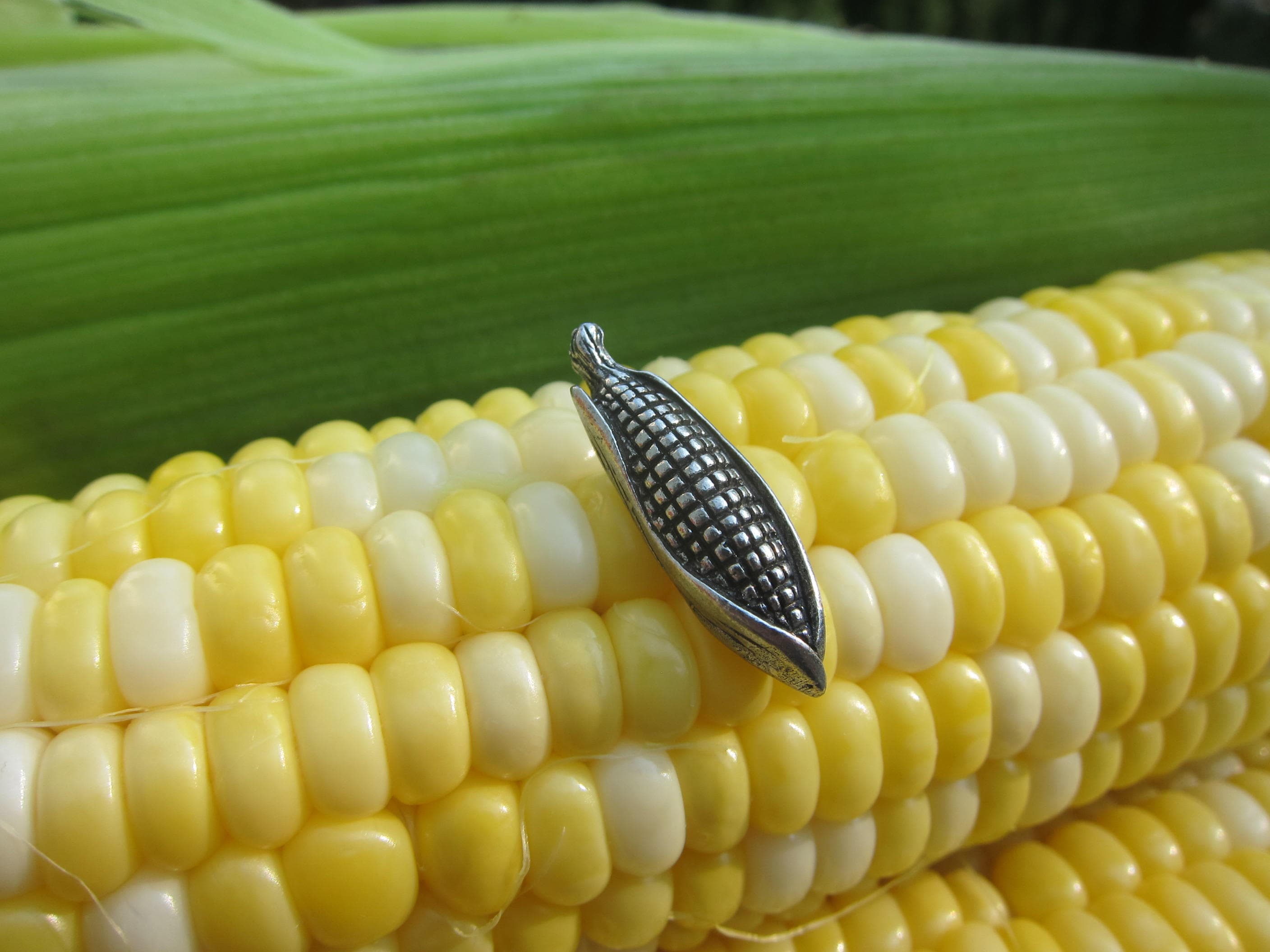Corn Lapel Pin CC441 Fall Corn Farm Farming Vegetable | Etsy
