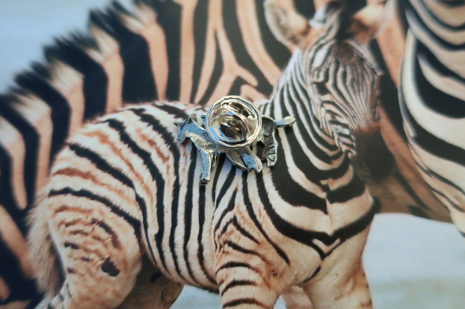 Zebra Lapel Pin- CC283- Zebra, Wildlife, and Zoo Animals - Etsy