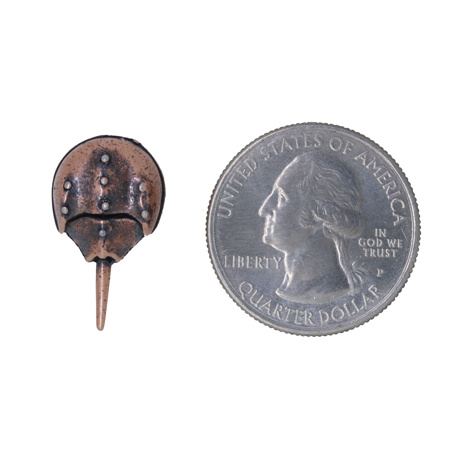 Copper Horseshoe Crab Lapel Pin- CC123C- Ocean, Beach, Sea Side, Marine ...