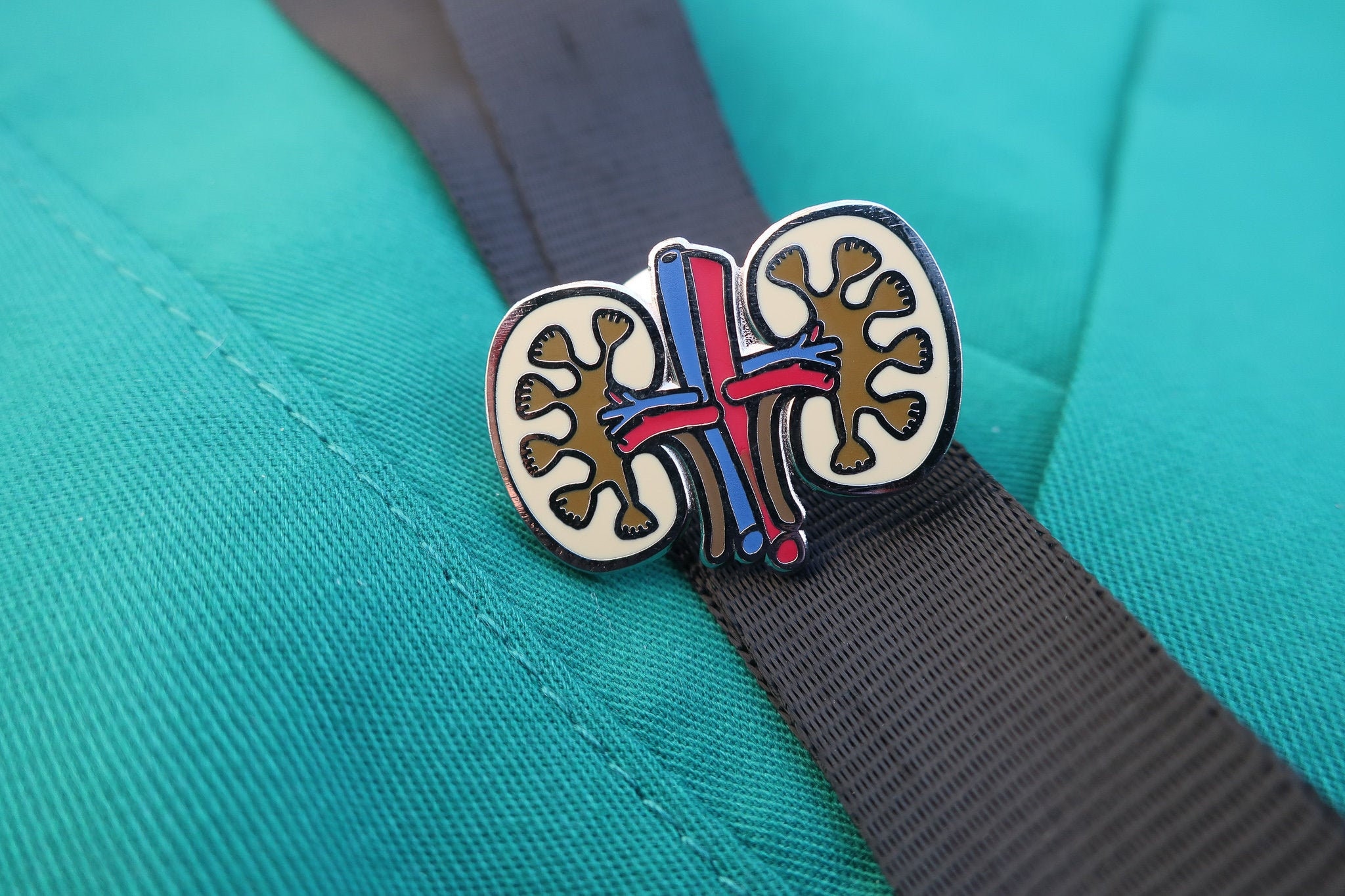Kidney Enamel Lapel Pin- EP109- Kidneys, Urinary Tract, Renal Failure ...