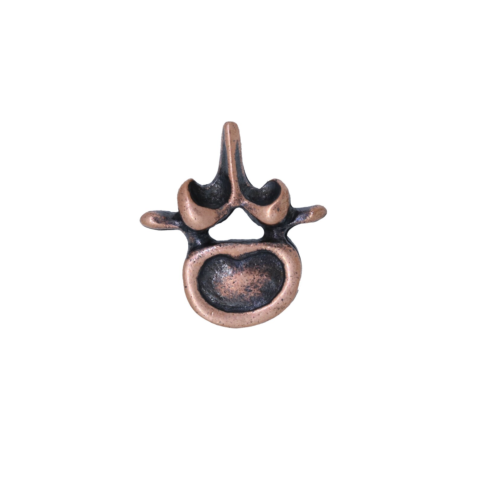 Copper Vertebrae Lapel Pin- CC594C- Chiropractor and Anatomy Pins ...
