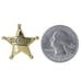 Gold Sheriff Star Lapel Pin-cc556g- Sheriff, Police, and Costume Pins ...