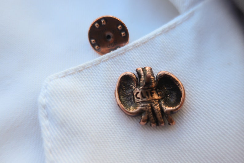 Kidneys Copper Dipped Pewter Lapel Pin CC391C Medical Pins | Etsy