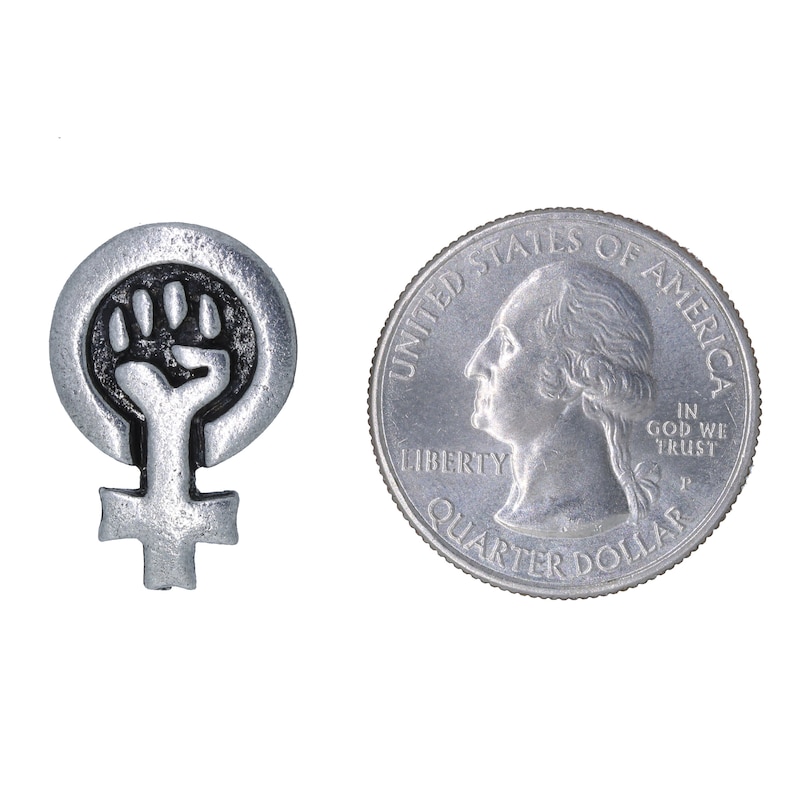 Feminist Power Lapel Pin CC640 Votes for Women Votes - Etsy