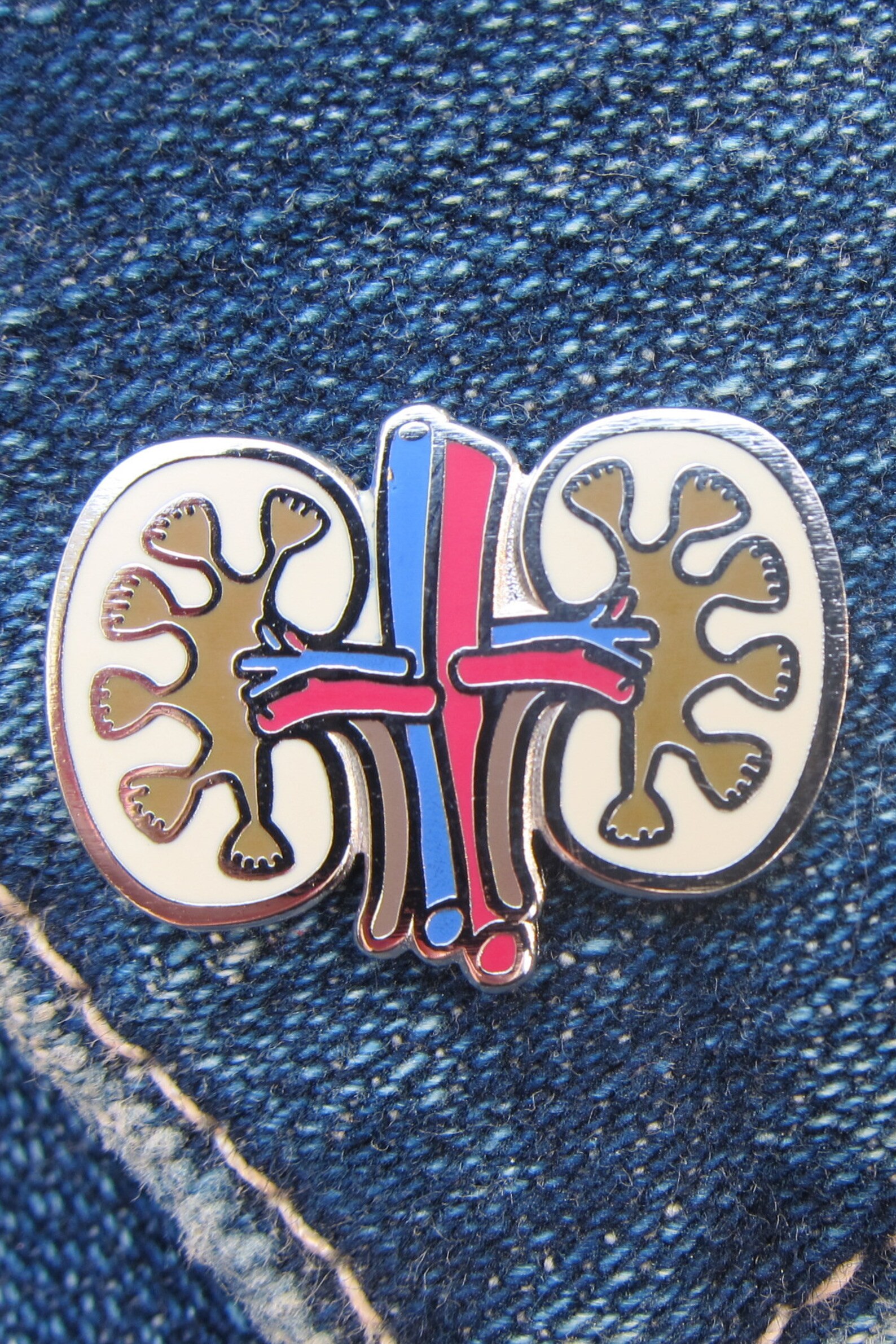 Kidney Enamel Lapel Pin- EP109- Kidneys, Urinary Tract, Renal Failure ...