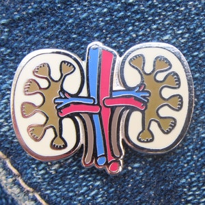 Kidney Enamel Lapel Pin- EP109- Kidneys, Urinary Tract, Renal Failure ...