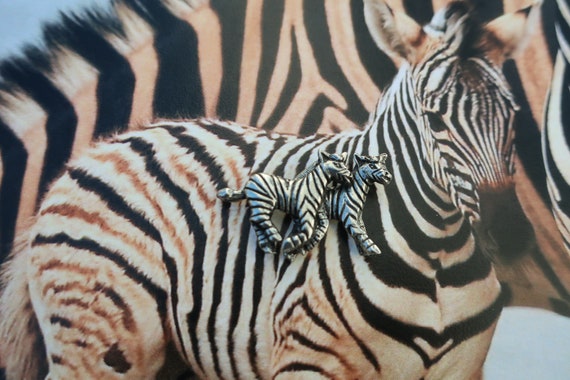 Zebra Lapel Pin CC283 Zebra Wildlife and Zoo Animals - Etsy
