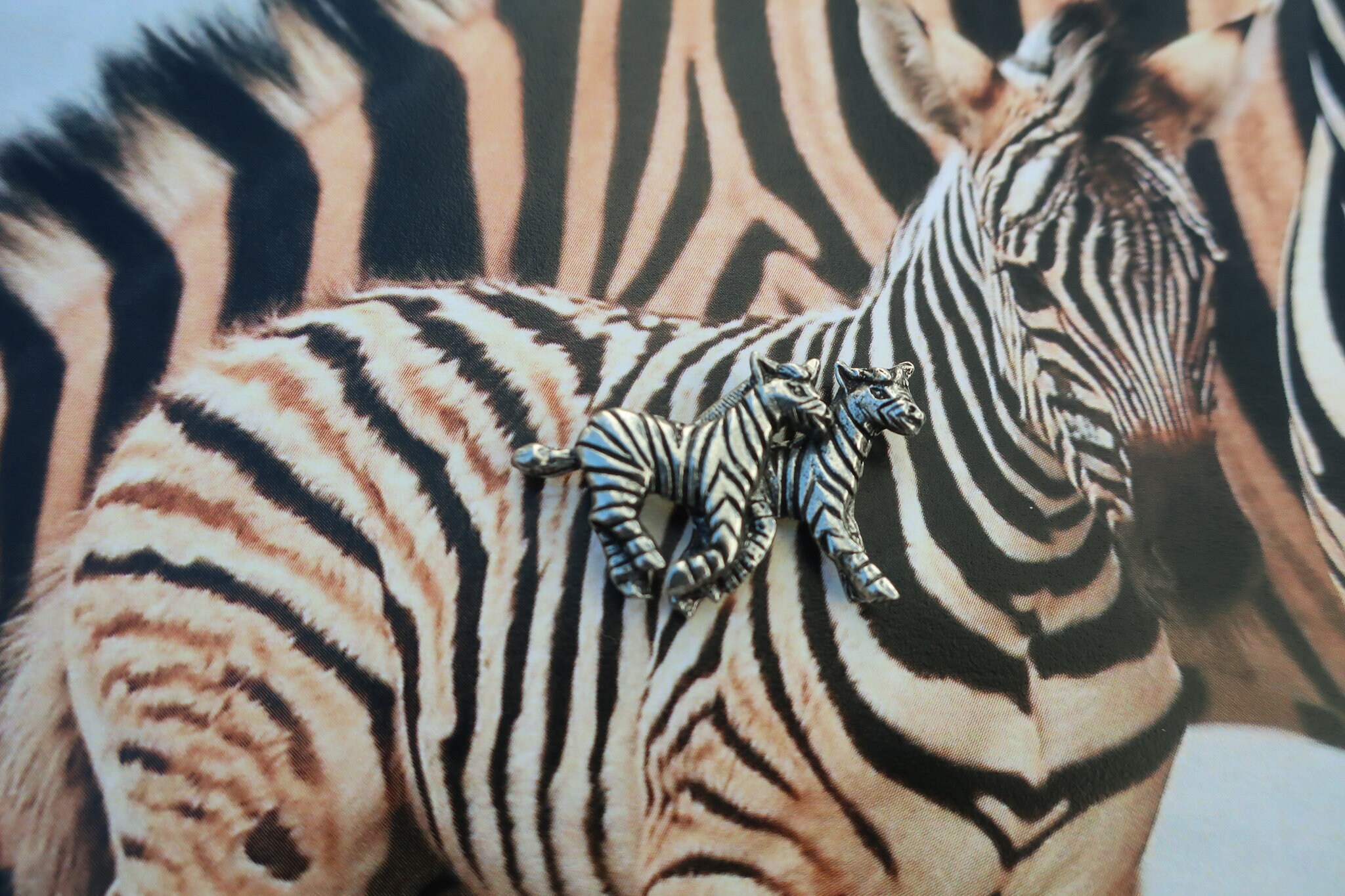 Zebra Lapel Pin- CC283- Zebra, Wildlife, and Zoo Animals - Etsy